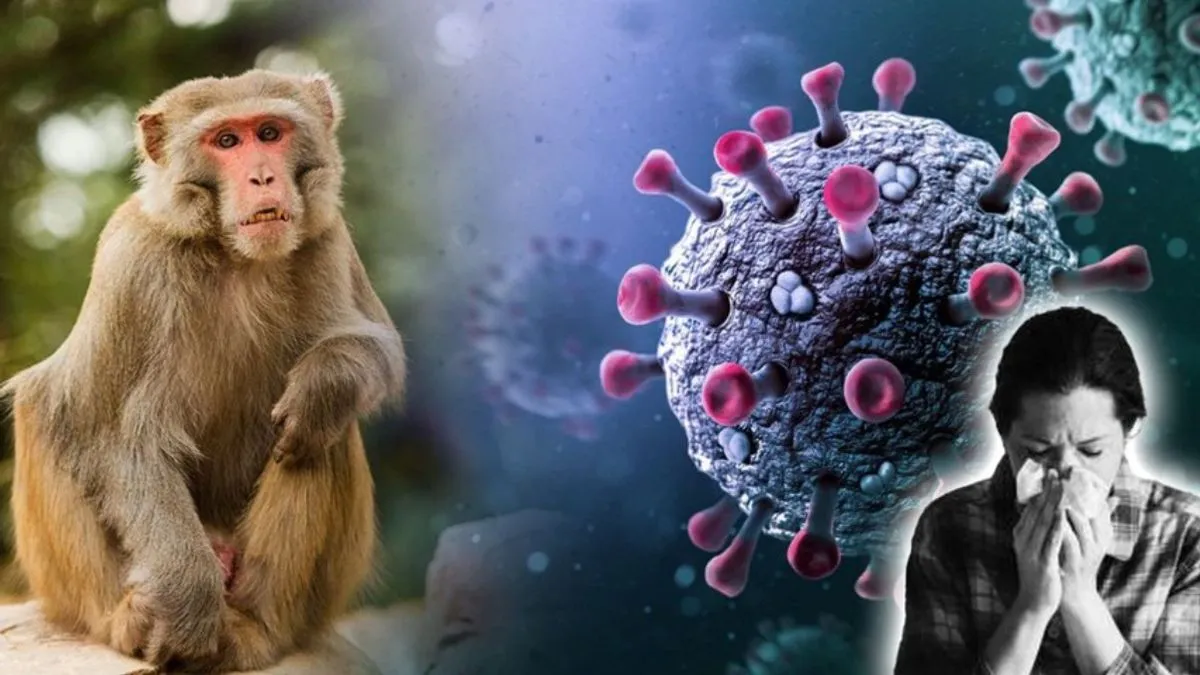 monkey fever karnataka 2024 update treatment