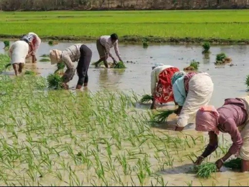 kisan credit card loan 2025